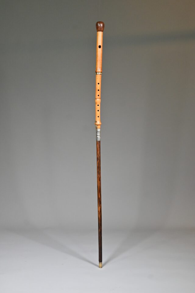 Walking stick instruments - VM Collectables